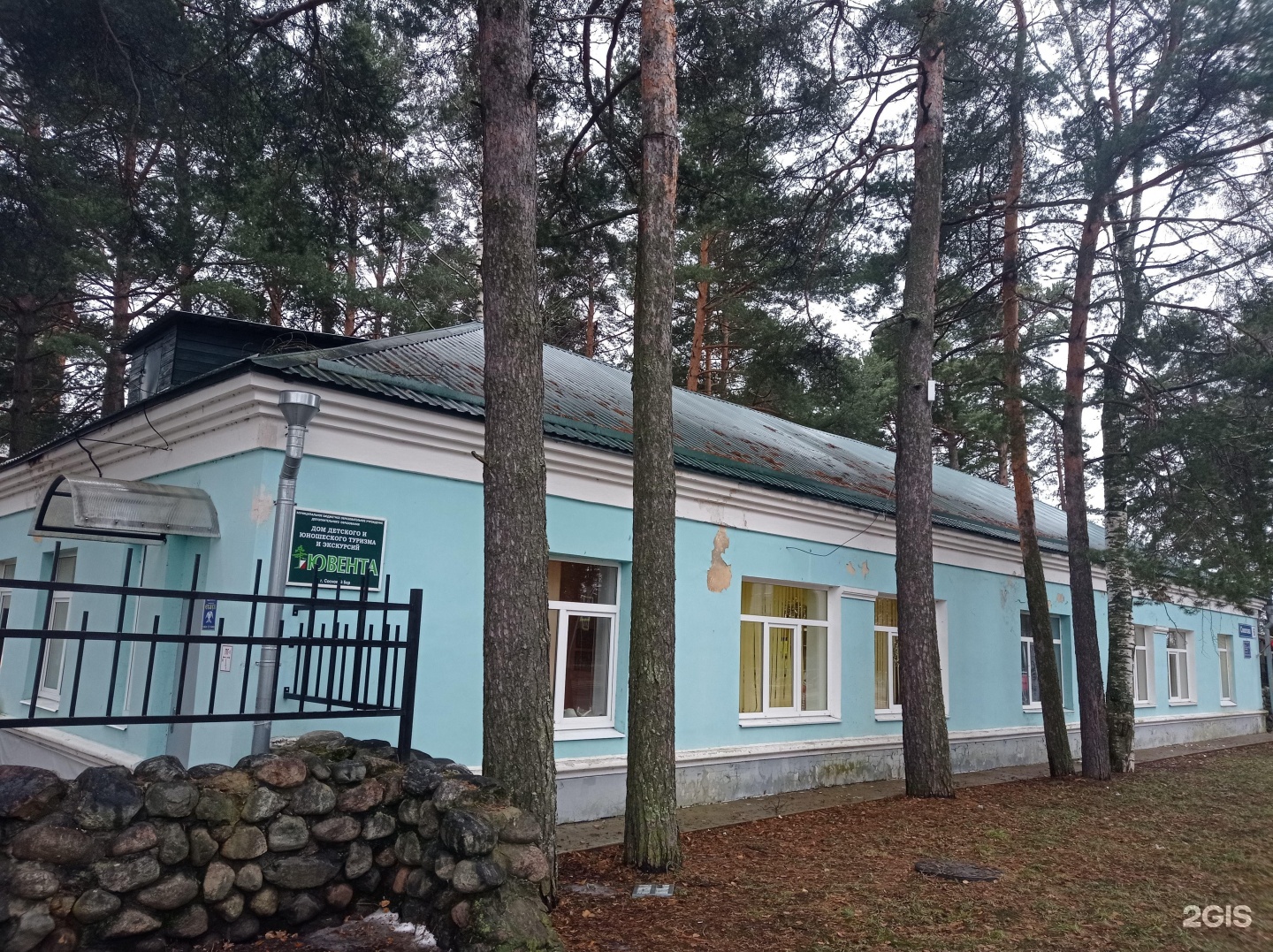 Ювента